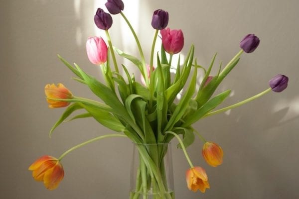 7 Easy Ways to Add Flowers to Your Home - Daakor